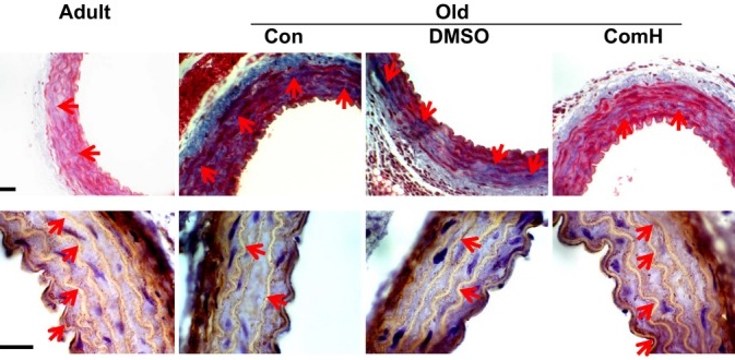 Publications – The Sun Laboratory
